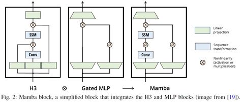 Transformer Mamba Wmw