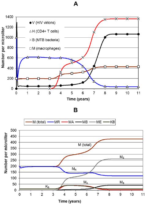 Simulation Of Hiv Mtb Co Infection Without Treatment The Panels Show