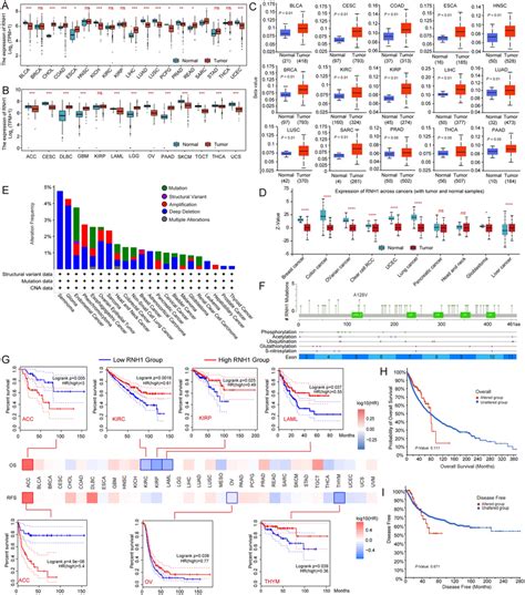 Pancancer Expression Pattern And Prognostic Significance Of Rnh1 A Download Scientific