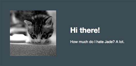 Hosting Nodejs Apps On Bluemix