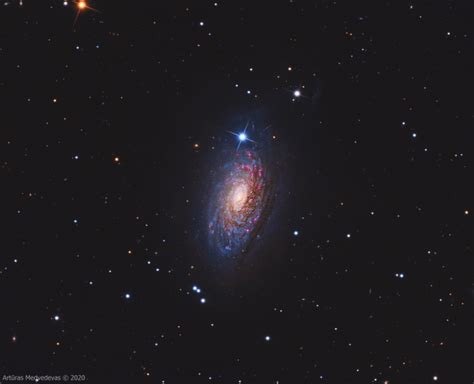 I Built A 3d Map Of The World Using Webgl2 Rwebdev