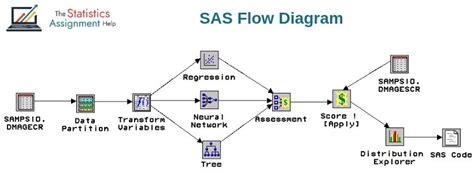 Sas Assignment Help Sas Homework Help Online