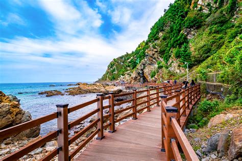 예산 걱정 없이 즐길 수 있는 강릉의 명소 베스트 6 산과 바다가 만들어내는 아름다운 풍경만으로도 행복해지는 강릉 Go Guides