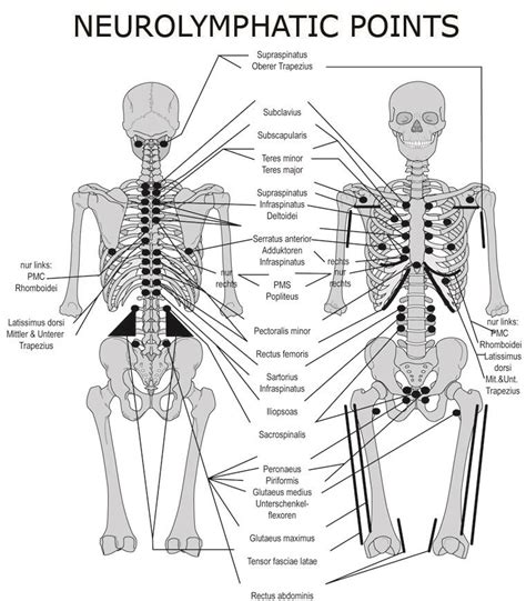 Pin By Hanlie Goosen On Neurolymphatic Points Lymph Massage Acupuncture Chiropractic Care
