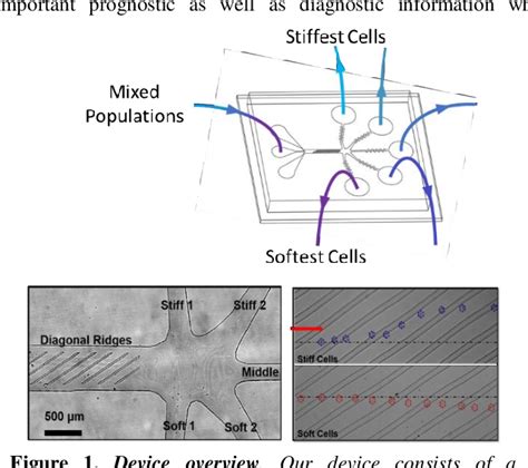 Figure 1 From A Microfluidic Platform For Single Step Isolation And
