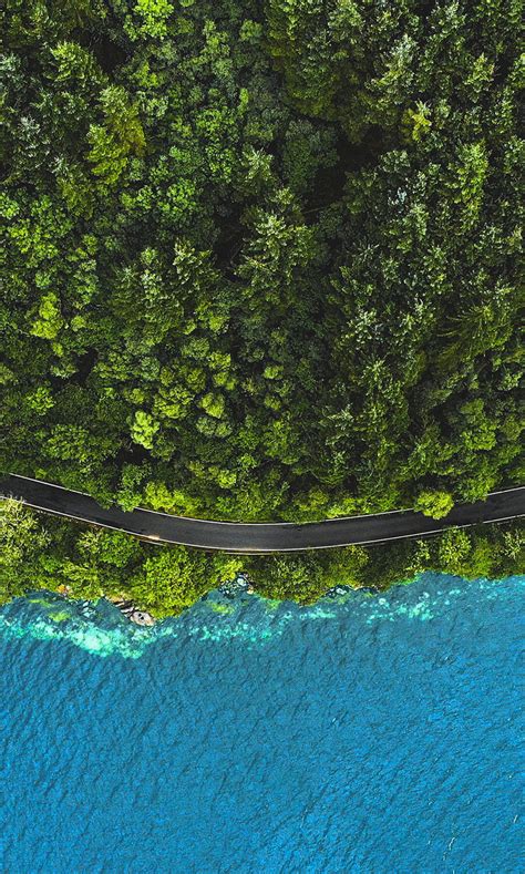 Servicios Solution Automation