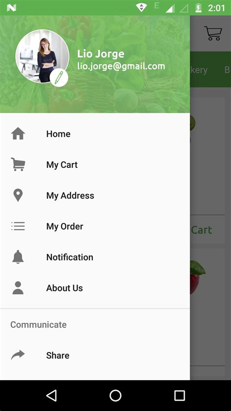 Grocery App Ui Template By Dreamdesign Codester