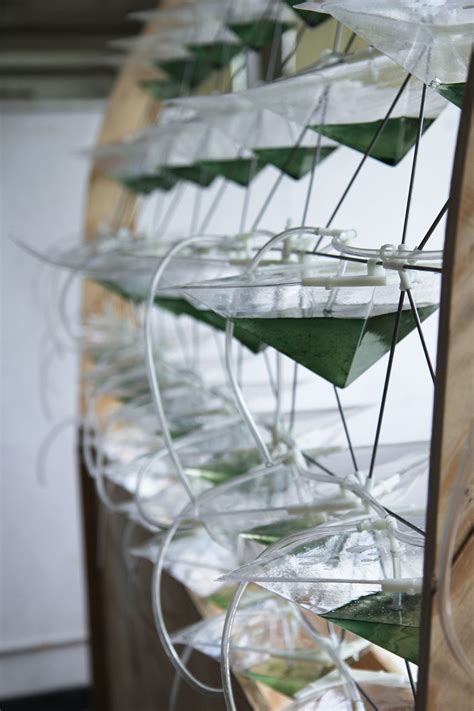 Byoa Bring Your Own Algae