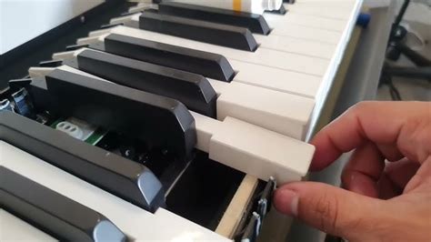 Verbannung Koks Minderwertig Fatar Tp100lr Erreichen Passant Destruktiv