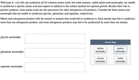 Answered Wild Type E Coli Cells Can Synthesize Bartleby