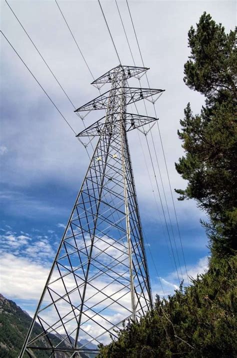 Clearing Trees Around Power Lines Reasons It Prevents Issues