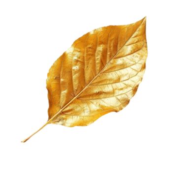 Nature S Elegance Fallen Autumn Leaf Texture Autumn Leaves Nature Fall Season PNG Transparent