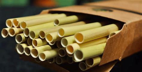 Comparing Eco Friendly Plastic Straw Alternatives The Ultimate