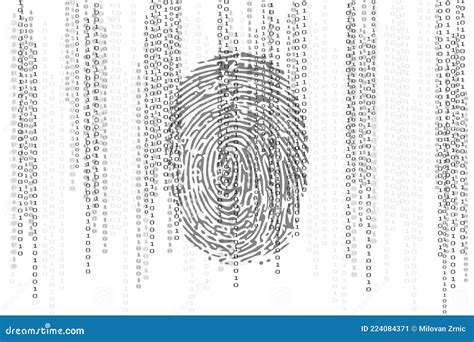 Binary Code White Background With Fingerprint Network Digital Data