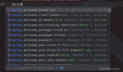 Springboot中的自定义参数提示：configuration Metadatajson与additional Spring