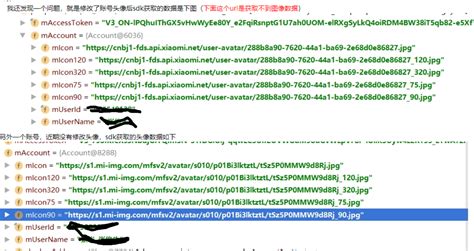 修改头像后sdk获得头像url无法获取到头像图片 Issue 20 xiaomi passport oauth android