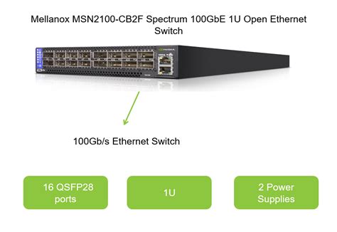 Why Do Companies Choose The Mellanox Sn2100 In 2024 Top 10 Application Scenarios Revealed