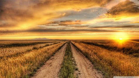 Free Country Girl Wallpaper Backgrounds Wallpapersafari