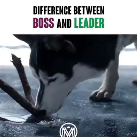 Wasim Shaikh On Linkedin 34 Sec Enough To Tell Difference Between Boss And Leader In This Clip
