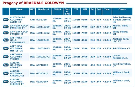 Young Stock Sample Output