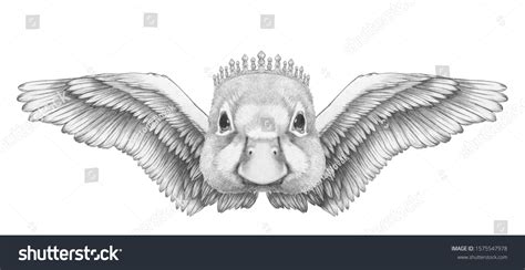 Portrait Duck Wings Hand Drawn Illustration Stock Illustration Shutterstock