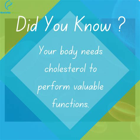 World Wide Genomics Your Body Requires Cholesterol To Carry Out Essential Processes But It