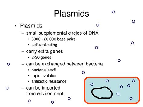 Ecor1 Animation Leave “sticky Ends” That Can Be Used To Join Dna Ppt Download