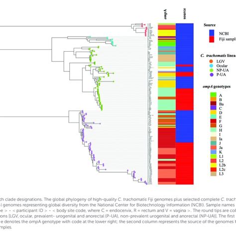 Global Phylogeny With Clade Designations Download Scientific Diagram