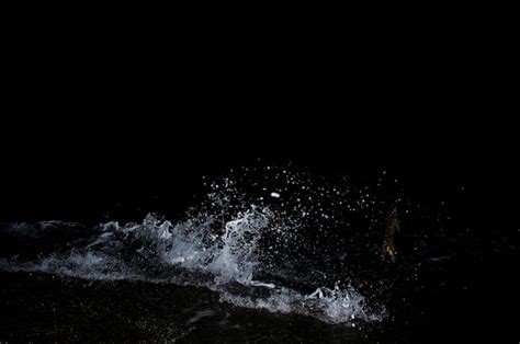 Premium Photo Dust Particle Background