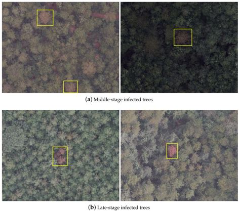 Remote Sensing Mdpi On Linkedin Drones Satellite