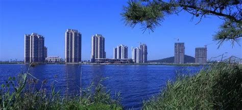 【山东威海】2023年威海市环翠区引进60名急需紧缺专业优秀高校毕业生公告 知乎