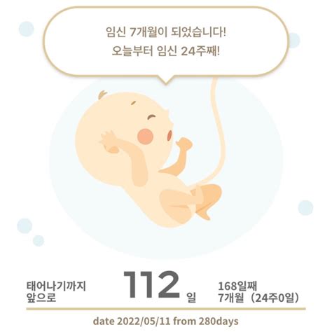 임신24주차 정밀초음파 입체초음파 부터 임당검사기록feat 임당재검사 네이버 블로그