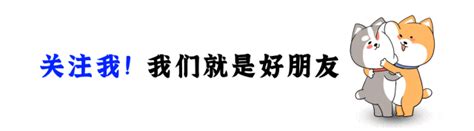 torchopt，一个无敌的优化器python库！ 知乎