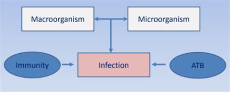 Lecture 4 Flashcards Quizlet Lecture 4 Flashcards Quizlet