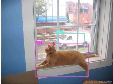 Pytorch目标检测通用教程（包含目标检测基础知识汇总以及ssd的介绍）朋友torch Smp 目标检测 Csdn博客