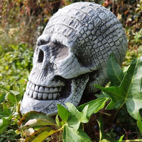 Human Skull Replica Etsy