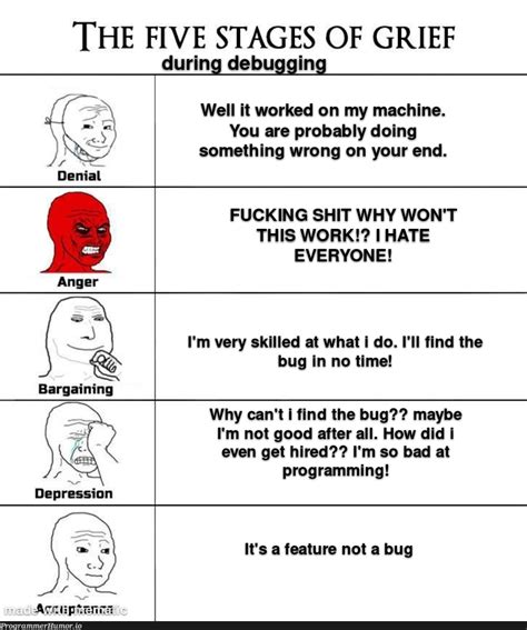 The Five Stages Of Grief During Debugging Programmerhumor Io
