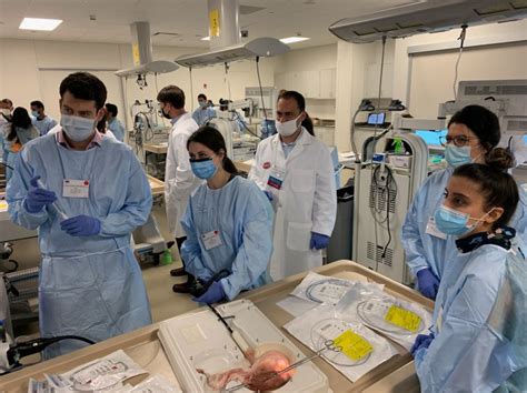 Abdul Hamid El Chafic Md Fasge Facg On Linkedin Asge