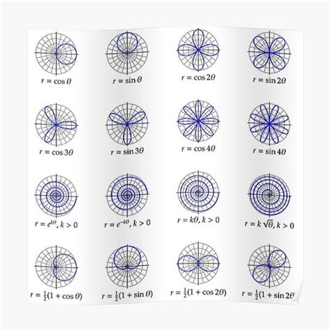 Common Calculus Polar Coordinate Graphs Premium Matte Vertical Poster Sold By Ulyana Nikitina