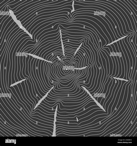 Annual Tree Growth Rings Trunk Cross Section Vector Background Trunk Concentric Illustration