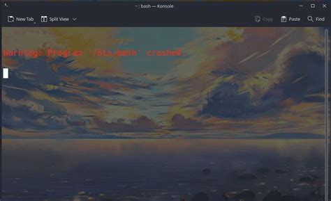 Tw Zsh And Bash Does Not Show Current Working Dir Etc Anymore R