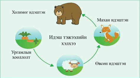 Мэдлээ Цахим контент