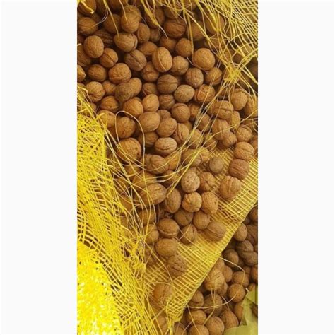 Купить ГРЕЦКИЙ Орех в скорлупе 2021 2022 Одесса Грецкие орехи — Apkua