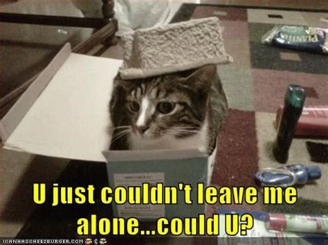 Leave Me Alone Cat Meme