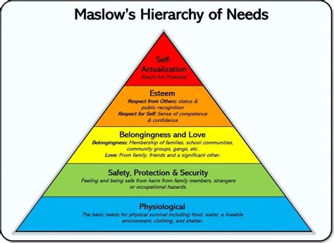 25 Humanistic Psychology Examples 2025