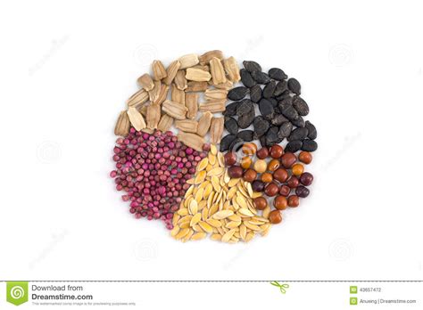 Radiate Background Stock Photo Image Of Melons Cicer 43657472