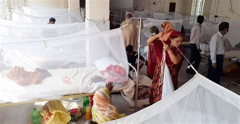 নভেম্বরের ৫ দিনে ডেঙ্গুতে ২৬ জনের মৃত্যু