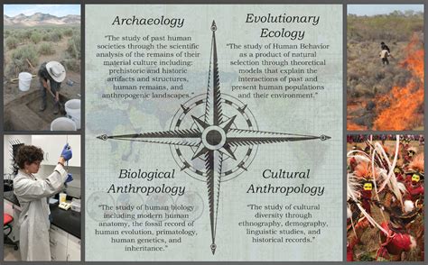 Anthropology Major Careers
