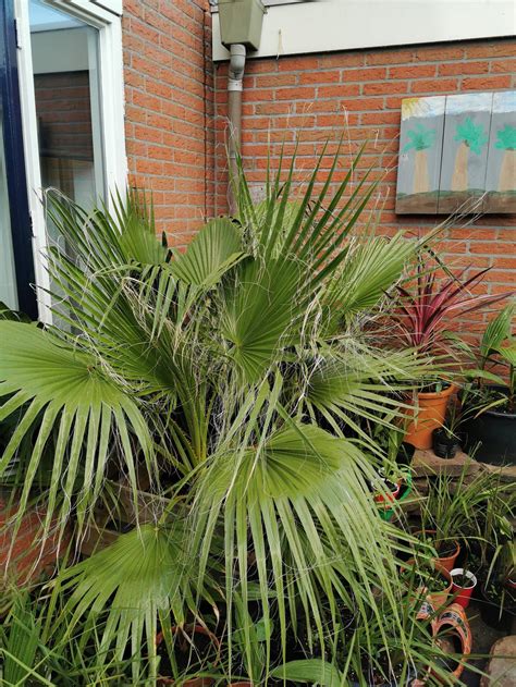 Resize And Crop Photos Images And Pictures Online