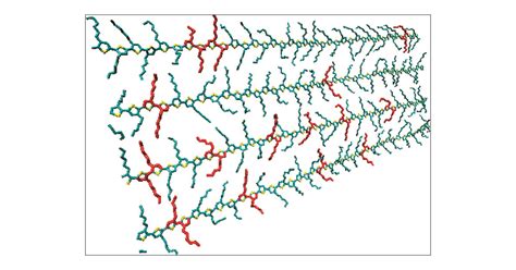 Relation Between Microstructure And Charge Transport In Polymers Of